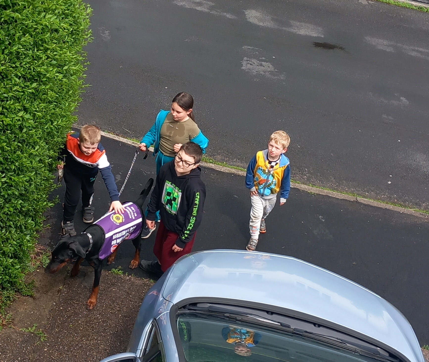 End discrimination against assistance dogs - a Community crowdfunding ...