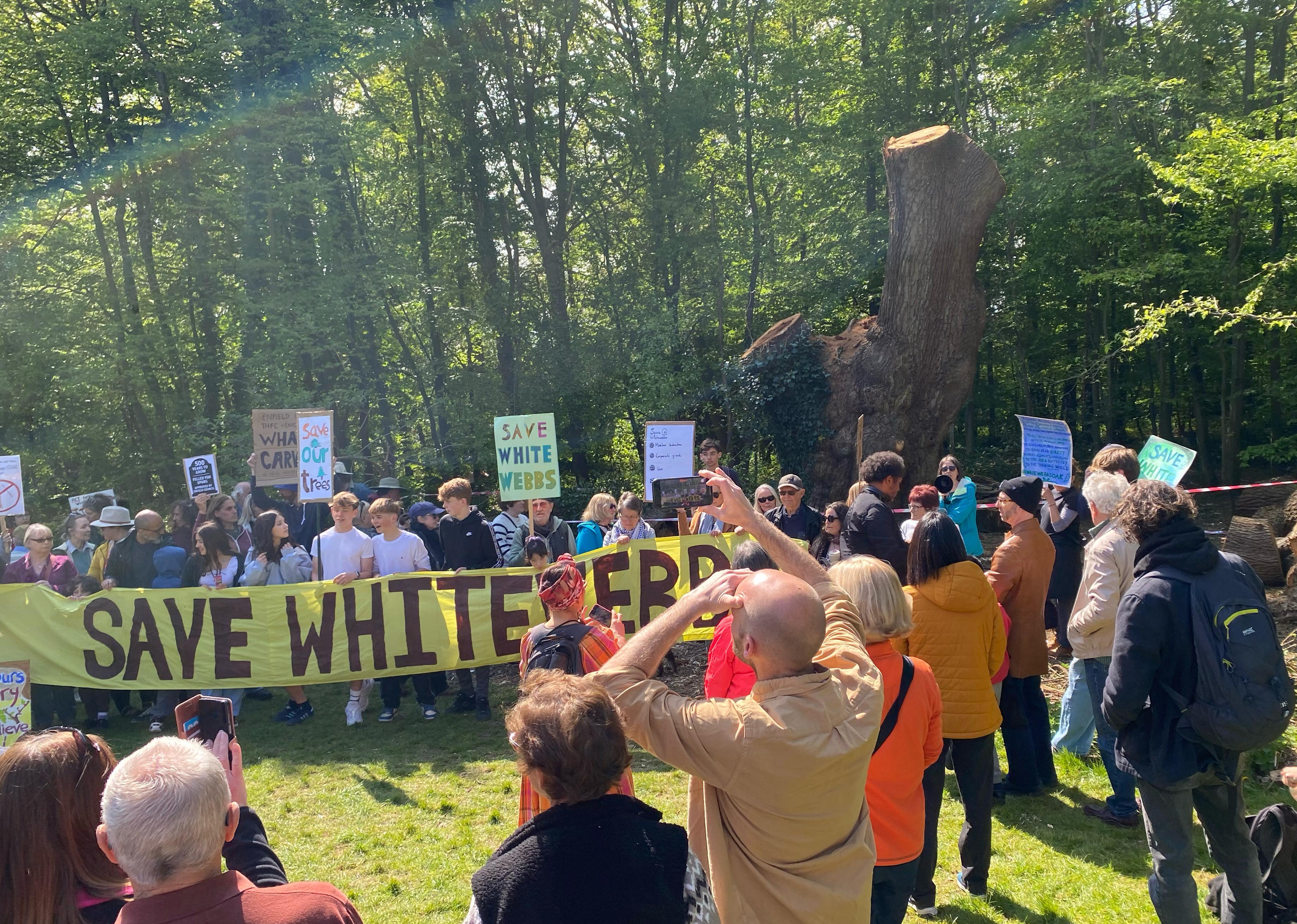 Save Whitewebbs Park - Fund Our Judicial Review!