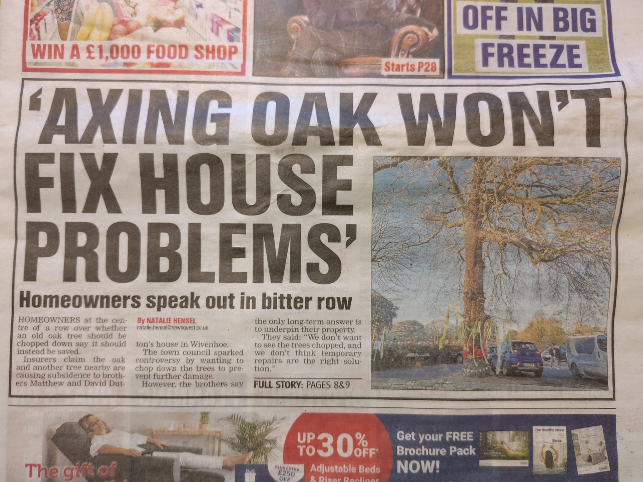 Save Wivenhoe's Old King George Oak tree